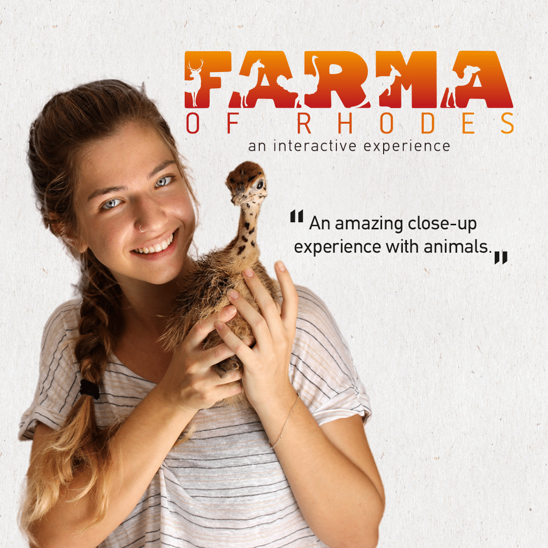 Farma of Rhodes Petting Zoo | Create Unique Memories