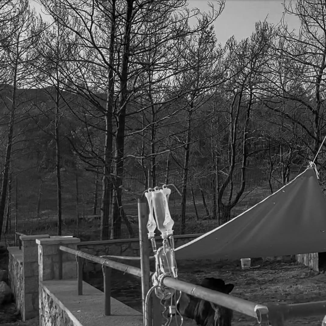 History of Farma's revival - Farma of Rhodes