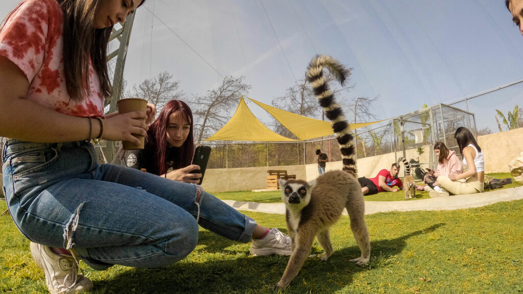 Top 5 Hiking Trails in Rhodes for Nature Lovers - Farma of Rhodes